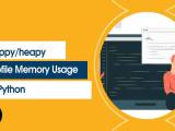 Guppy Heapy Profile Memory Usage In Python